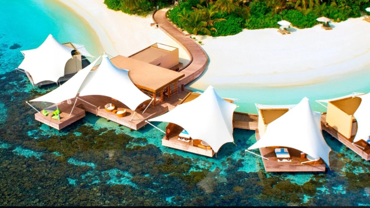 The Maldives’ largest coral restoration project launches • Manta Media ...